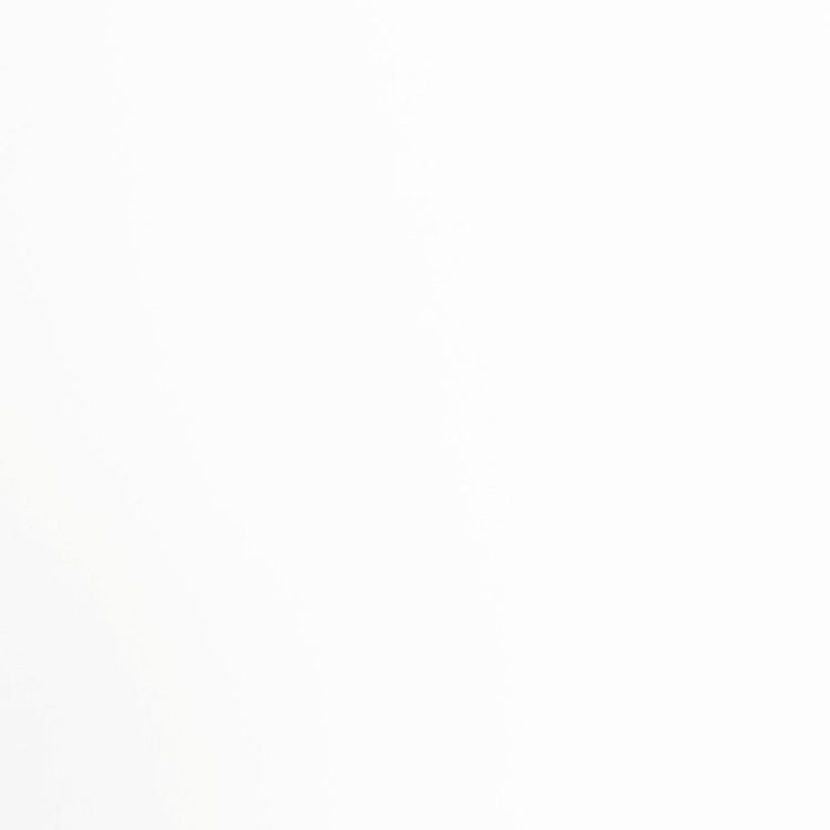 Flat Bright White | All Powder Paints®